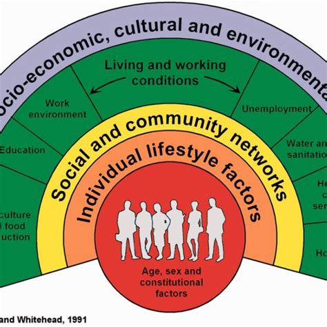 What Are Health Determinants Cares Healthy