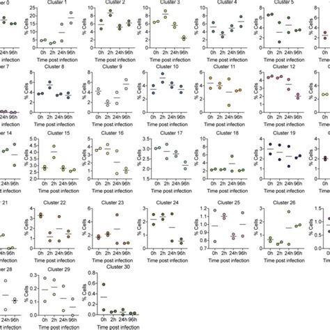 Frequency Of Each Cell Cluster From Single Cell Rna Seq Graphs Display Download Scientific