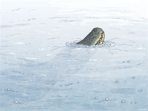 Frozen Solid Gators Twinkl NewsRoom Twinkl