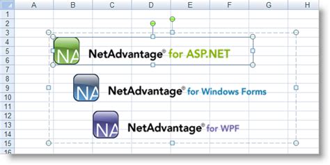 Excel ワークシート セルに画像を挿入できるようになった Infragistics Windows Forms™ ヘルプ