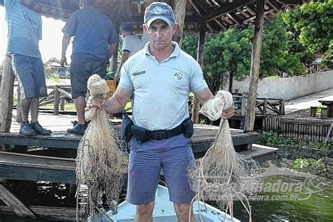 Pescador Amador é O Mais Autuado No Período De Defeso No Estado De Sp