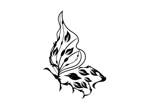 Premium Vector A Butterfly Drawing With The Words Butterfly On It