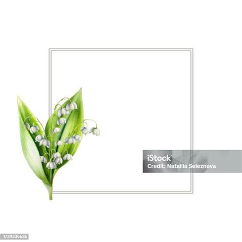 계곡 꽃의 꽃다발이 있는 수채화 프레임은 흰색 배경에 분리되어 있다 봄 손으로 그린 그림입니다 디자이너 결혼식 장식 엽서 포장지 스크랩북 표지 초대장 포스터 및 직물