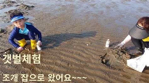 갯벌체험을 하다 Youtube