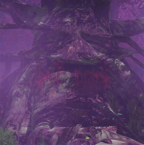 Tenmaten Shrine Location And Walkthrough In Zelda Totk Polygon