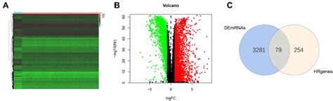 Screening Different Expressed Hypoxia Related Genes A Heatmap Of