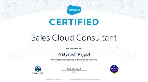 Pratyanch Rajput On Linkedin Deloitte Deloitteusi Salescloud