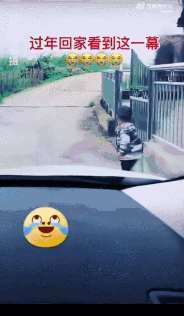 这段视频，太催泪了！四川在线