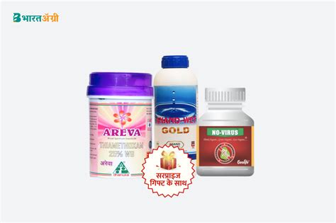 Tomato Suraksha Kit Virus 70 150 Days Free Home Delivery