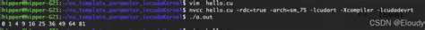 Dynamic Parallelism 机制实现两个 Cuda Kernel 动态并行的示例nv Dynamic Parallelism