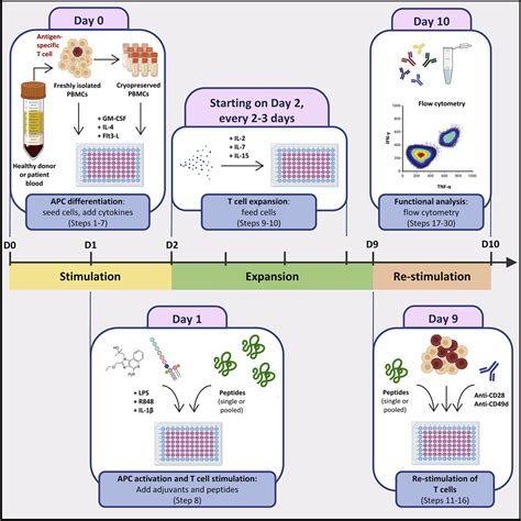 Cell Press Star Protocols