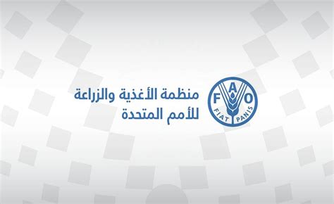 الفاو ارتفاع مستويات انعدام الأمن الغذائي في العالم