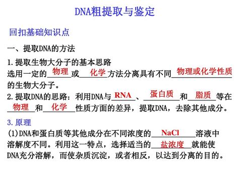 Dna粗提取与鉴定实验 随意云