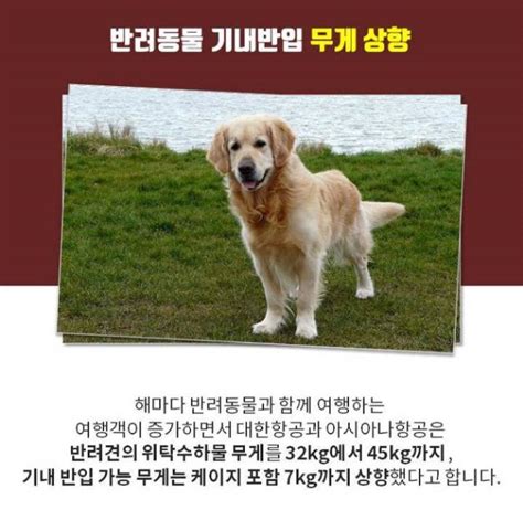 2018년 부터 바뀌는 여권 정책 인스티즈 Instiz 이슈 카테고리