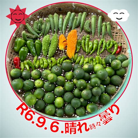 恵みの雨だったのかf 家庭菜園プラス