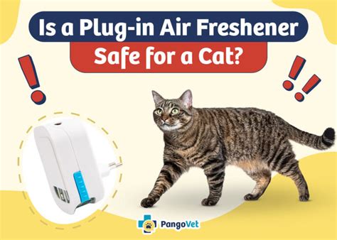 Is A Plug In Air Freshener Safe For A Cat Vet Verified Facts And Faq