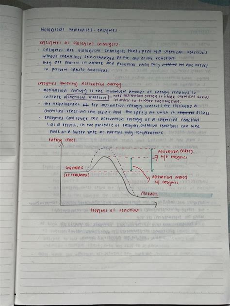 Combined Science Biology O Level Notes Hobbies Toys Books