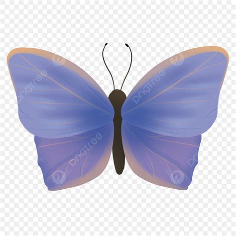자주색 나비 일러스트 동물 아름다운 곤충 아름다운 자주색 동물 Png 일러스트 및 Psd 이미지 무료 다운로드 Pngtree