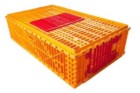 Poultry Transport Crate Collins Nets Ltd