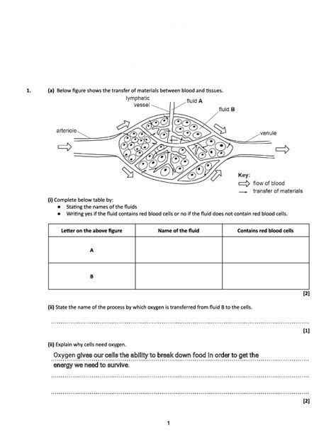 Igcse Mixed Bag Revision Booklet Biology Exercises Biology Docsity