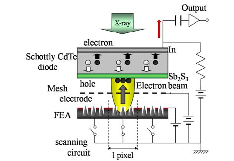 Operation Principle Of The Cdte X Ray Image Sensor Using A Field
