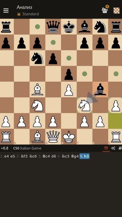 Мат легаля шахматы Chess шахматы Games Magnuscarlsen ловушка
