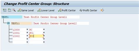 SAP CCA Profit Center Hierarchy