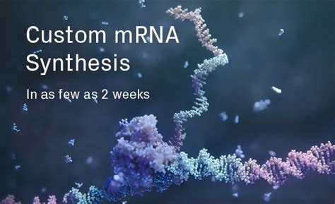 Emily Lafond On Linkedin Custom M Rna Synthesis