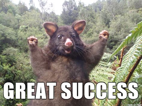 Great Success Imgur