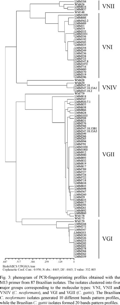 Memórias Do Instituto Oswaldo Cruz Regional Pattern Of The Molecular Types Of Cryptococcus