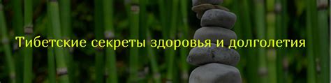 Тибетские секреты здоровья и долголетия 2024 ВКонтакте