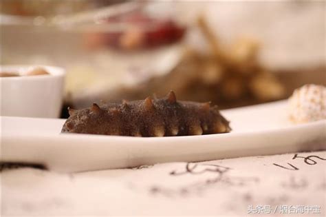 夏天也適合吃海參夏天吃海參有什麼好處 每日頭條