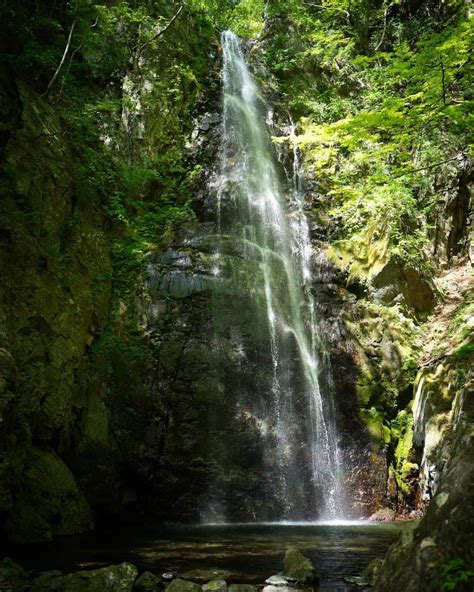 井浦新さんのインスタグラム写真 井浦新instagram 「 ⛰🌿💦🌲🍛 鮮緑に染まる風のとおり道 ハッとしてしばらく魅入っていた 山