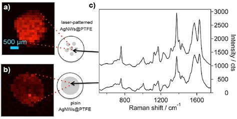 SERS maps λ ex 532 nm 450 points 150 μm step size over a 5 μl
