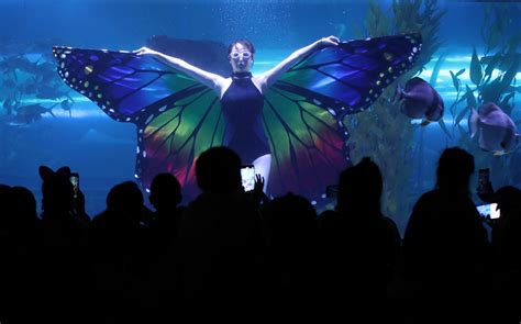 “美人鱼”助阵沈阳皇家海洋乐园欢度国庆 澳洲网