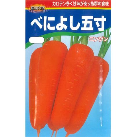 【ニンジン】べによし五寸人参〔渡辺交配〕小袋（1200粒） 家庭菜園 太田シード ヤフー店 通販 Yahooショッピング