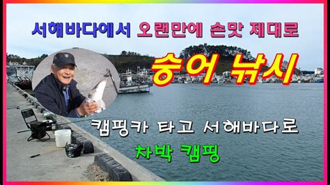 캠핑카 타고 서해바다로 차박 캠핑 숭어 낚시 Youtube