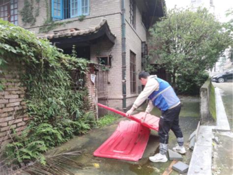 白鹤洞街：热线触发爱心接力，多部门联合为流浪犬撑起保护伞（组图） 广州市荔湾区人民政府门户网站