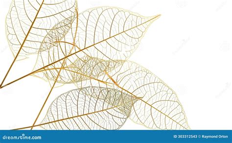 Leaf Cells Microscope Magnification Plant Leaf Microscopic Structure Royalty Free Stock Image
