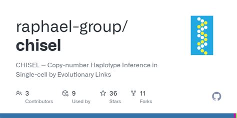 Github Raphael Groupchisel Chisel Copy Number Haplotype