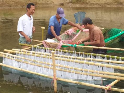 အမ်းခရိုင် အမ်းမြို့နယ်၊ အမှတ် ၃ ရပ်ကွက် သယုချောင်းဆိပ်ကမ်း၌ ဇီဝိတ ဒါန