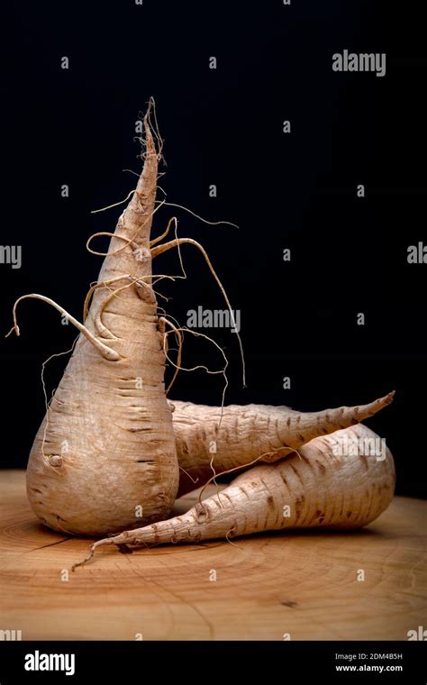 A Trio Of Parsnips Set Upon A Wooden Board Showing Them To Be A Root