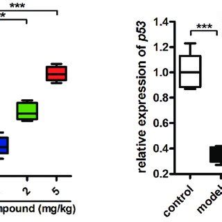Obviously inhibited activation of the NF κB inflammatory signaling