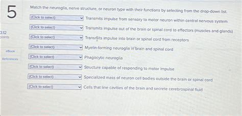 Solved Match The Neuroglia Nerve Structure Or Neuron Type Chegg Com