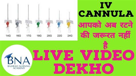 IV Cannula Size Gauze Types Of Iv Cannula Purpose Complication Of Iv