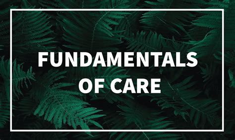 Fundamentals Of Care Grace Community Church
