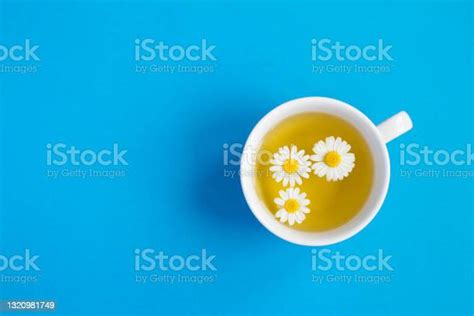 파란색 배경에 흰색 컵에 카모마일 꽃 허브 차 맨 위 보기입니다 공간을 복사합니다 0명에 대한 스톡 사진 및 기타 이미지 0명 개념 건강관리와 의술 Istock