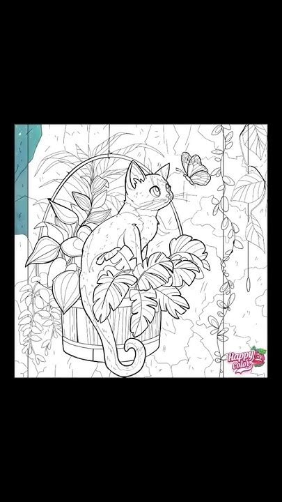 Милый котик 🐈 Youtube