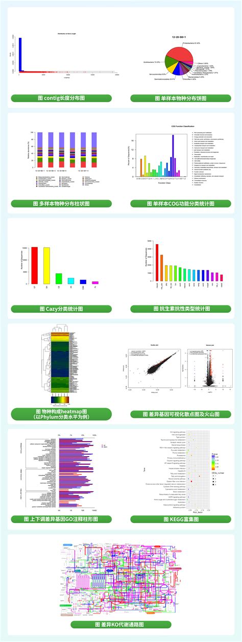 上海凌恩生物科技有限公司