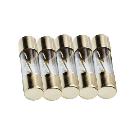 Pack Of 5 Car Audio Amp Amplifier Glass 40 A Amp Agu Gold Plated Fuse